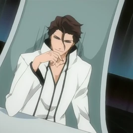 Sosuke Aizen | TheBleach Wiki | Fandom