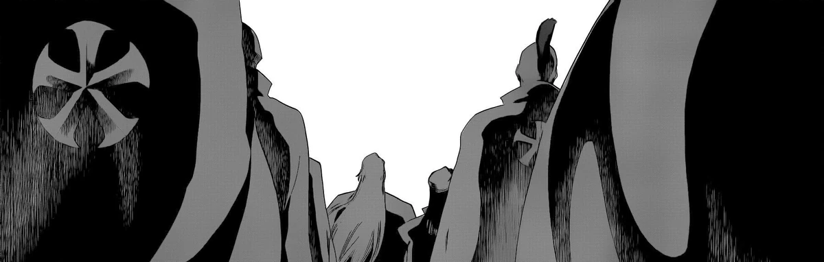 Stern Ritter | Bleach Fan Fic Wiki | Fandom