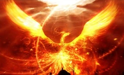 The Blessed Witch Wiki | Fandom