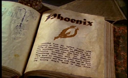 The Blessed Witch Wiki | Fandom