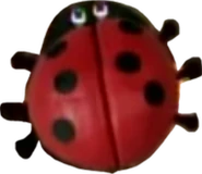 Ladybug | Blue's Clues Wiki | Fandom