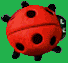 Ladybug | Blue's Clues Wiki | Fandom