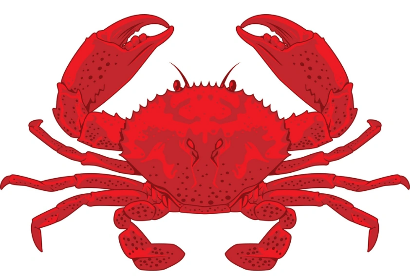 Crab | Blue's Clues Wiki | Fandom