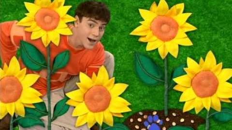 Contraptions!/Watch Episode | Blue's Clues Wiki | Fandom