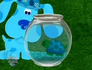 Turquoise | Blue's Clues Wiki | Fandom