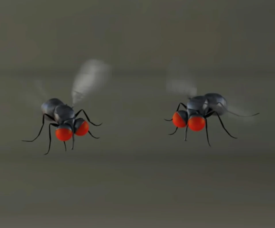 Flies | BOOBA Wiki | Fandom