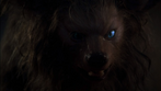 Jordan Sands/Gallery | The Boy Who Cried Werewolf Wiki | Fandom
