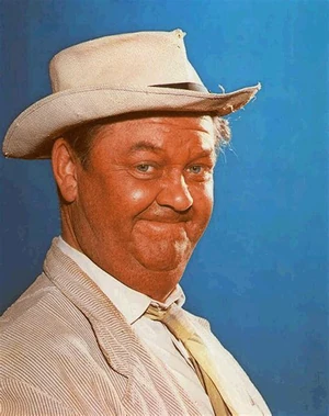 Hal Smith | The Brady Bunch Wiki | Fandom