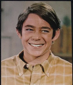 The Brady Bunch Greg Season 1