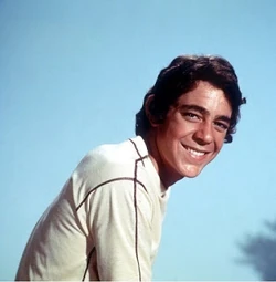 Greg Brady Bunch