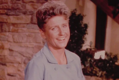 Alice Ann B. Davis Biography Ann B. Davis Aka Alice From 'The Brady