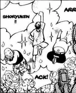 Shoryuken | The Breaker Wiki | Fandom
