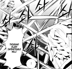 Thousand Slash Impenetrable Wall | The Breaker Wiki | Fandom