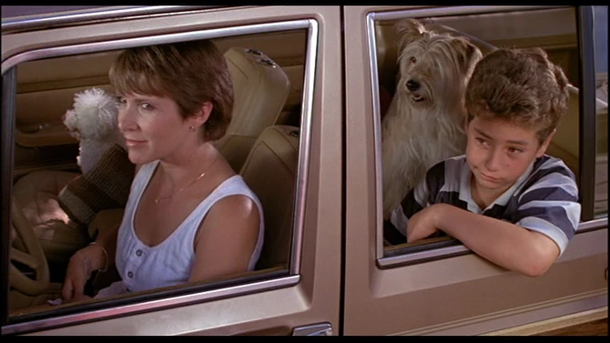 The burbs Wiki | Fandom