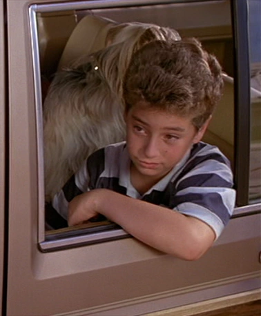 Dave Peterson | The burbs Wiki | Fandom