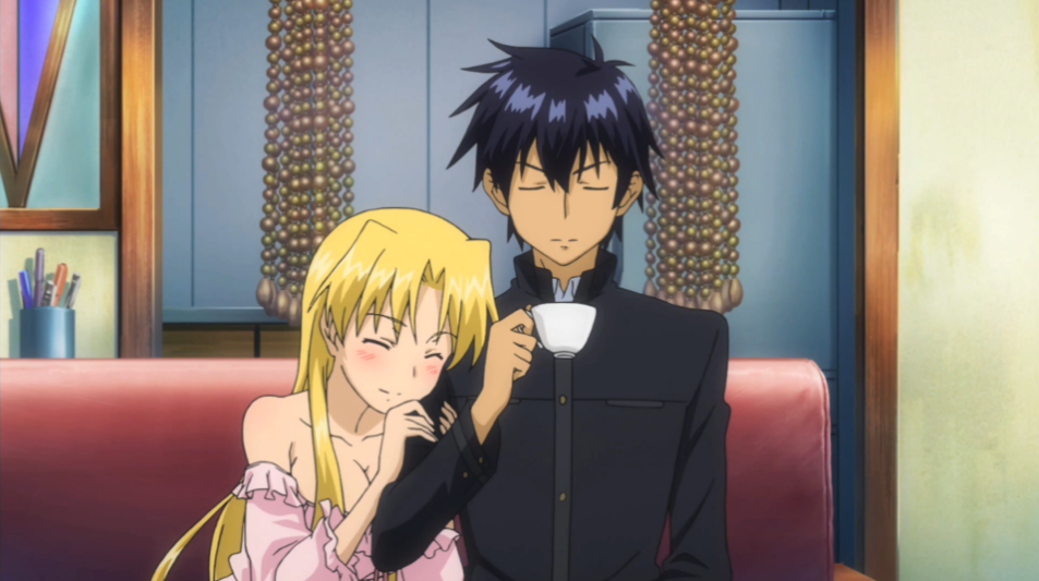 Erica Blandelli/Relationships | Campione! Wiki | Fandom