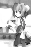 Light Novel Volume 12 | Campione! Wiki | Fandom