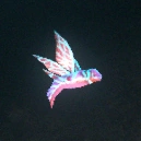 Glow Moth | The Chronicles of Riddick Wiki | Fandom