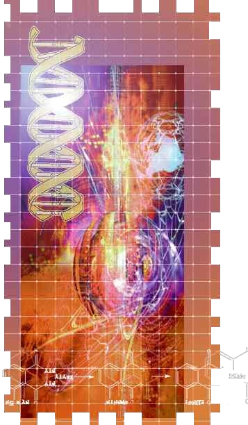 Furyan | The Chronicles of Riddick Wiki | Fandom