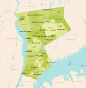 Westchester | The Clique | Fandom