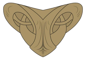 House of Organa | The Clone Wars | Fandom