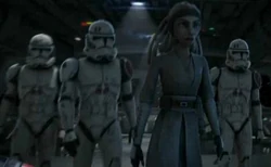 91st Reconnaissance Corps | The Clone Wars | Fandom