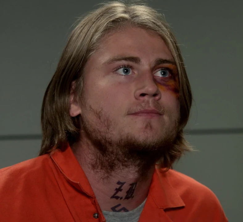 Henry Colson | The Major Crimes Division Wiki | Fandom