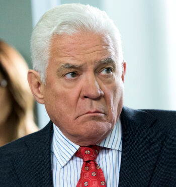Louie Provenza | The Major Crimes Division Wiki | Fandom