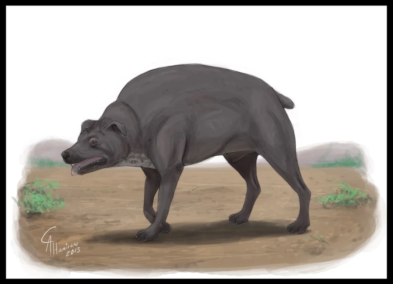 Itzcuintlipotzotli | Poochpedia | Fandom