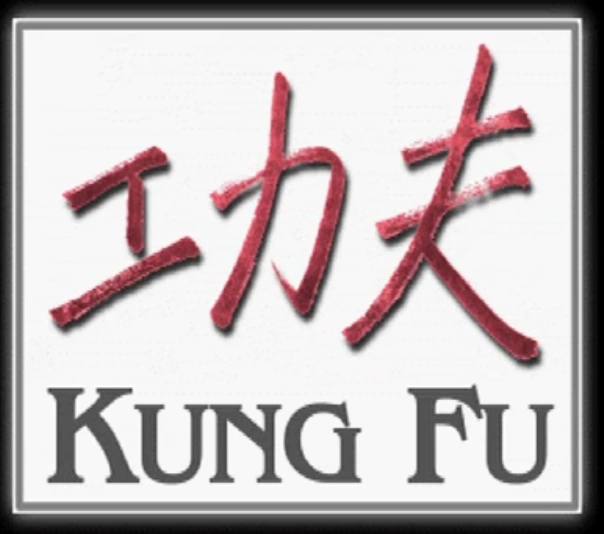 Kung Fu Games | The Video Gamepedia Wiki | Fandom