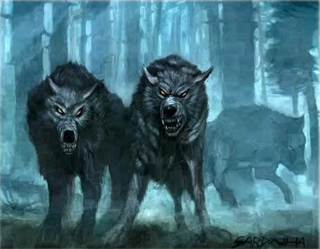 Dire wolf | The Coterie Wiki | Fandom