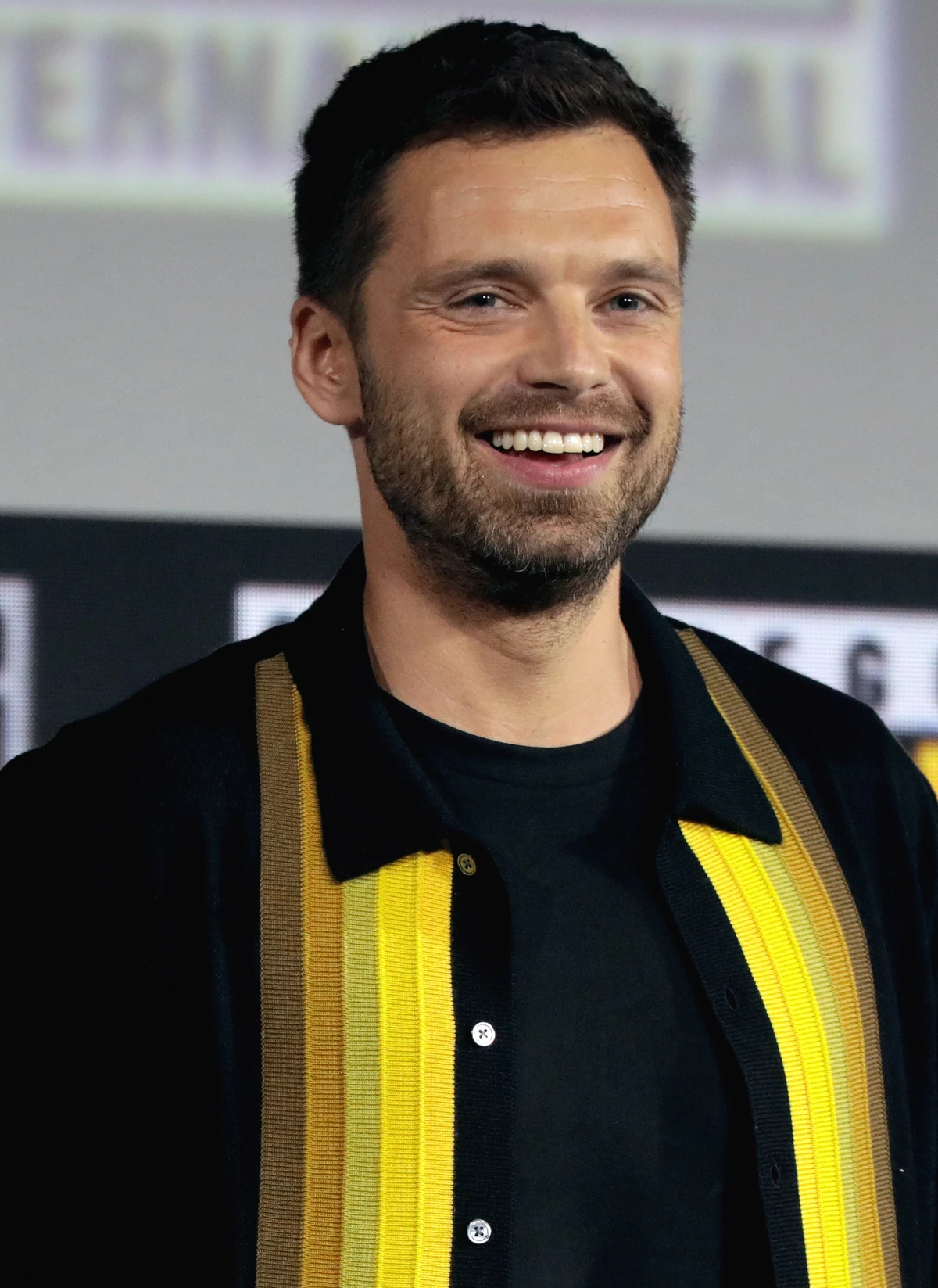 Sebastian Stan | The Covenant Wiki | Fandom