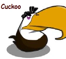 Cuckoo | The Crazy Bird People Wiki | Fandom