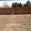 The Creature House | The Creature Wiki - Creatures, Series, gags and ...