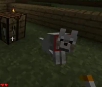 Cujo | The Creature Wiki - Creatures, Series, gags and more | Fandom