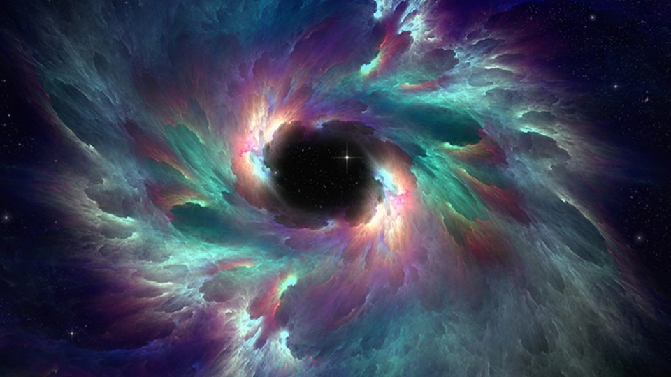 Wiki Rules | The Creature World Wiki | Fandom