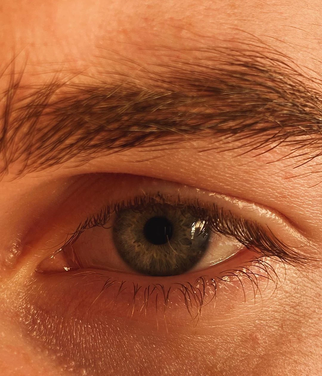 Spectre | The Creature World Wiki | Fandom