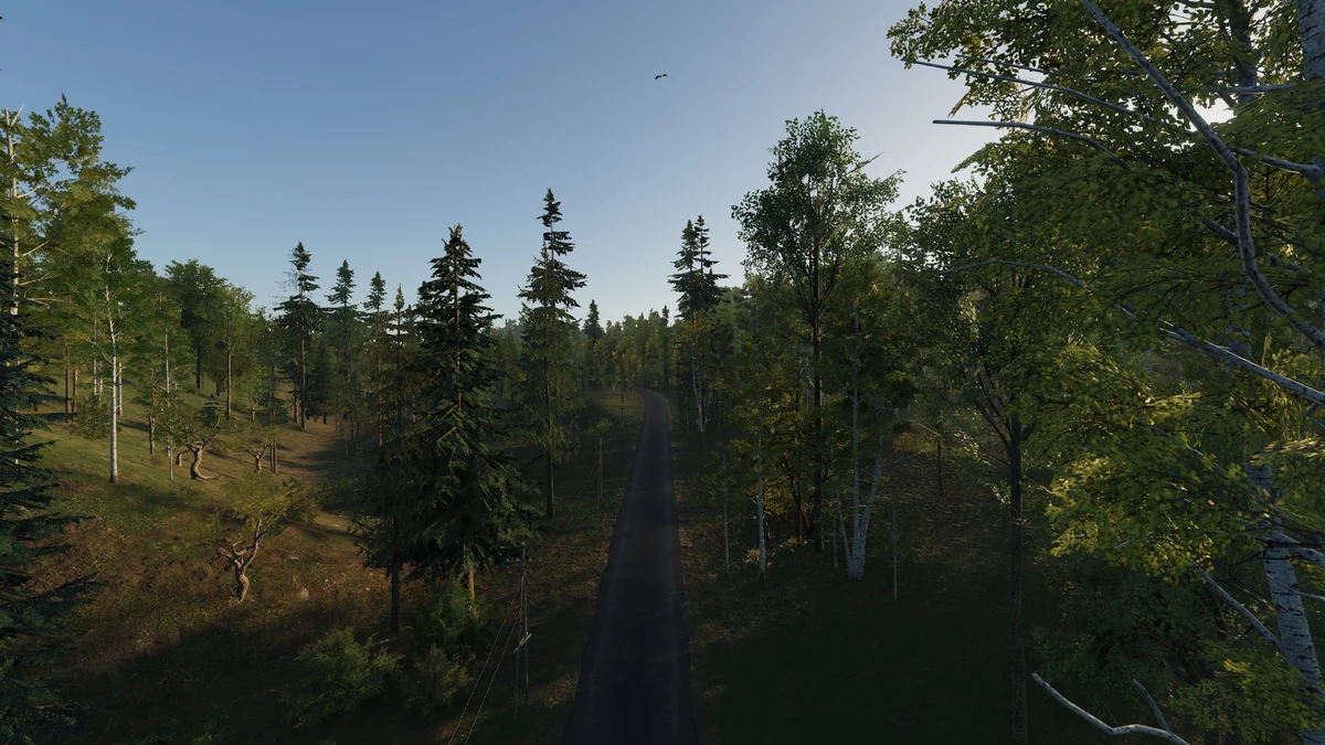 Pikes Forest | THE CREW Wiki | Fandom