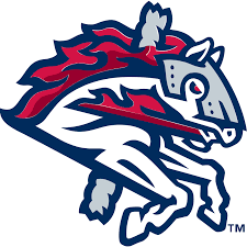 Binghamton Rumble Ponies | New York Mets Wiki | Fandom