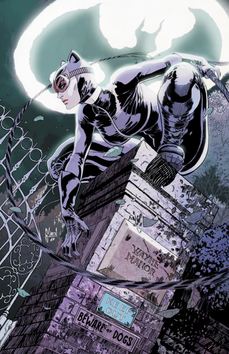 Selina Kyle (New Earth) | The Dark Knight Universe Wiki | Fandom