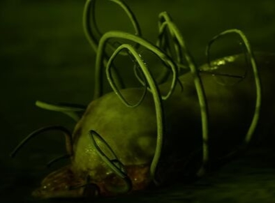 Alien Parasites | The Dark Pictures Wiki | Fandom