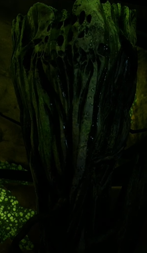 Cocoon | The Dark Pictures Wiki | Fandom