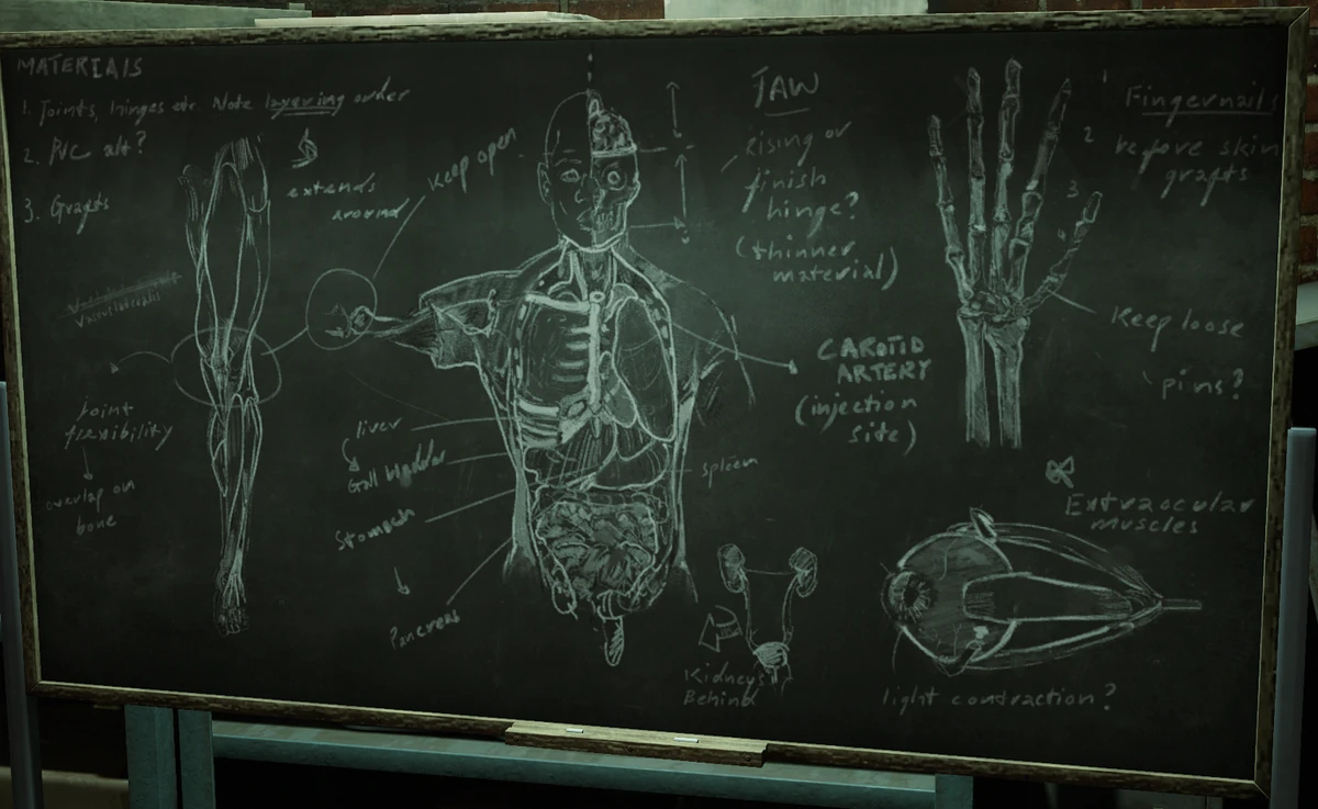 Anatomy Chalkboard | The Dark Pictures Wiki | Fandom