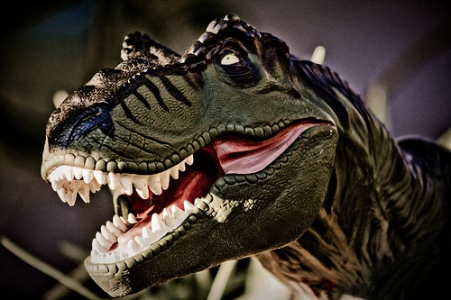 Rex | The David Story Wiki | Fandom