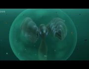 Monumentials | The Deep Wiki | Fandom