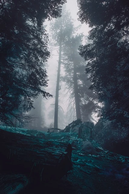 Berry Island | TheDeviantBook Wiki | Fandom