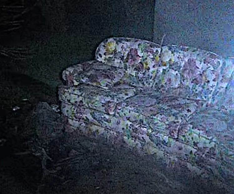 REAL HAUNTED COUCH | The Devil's Carnival Wiki | Fandom