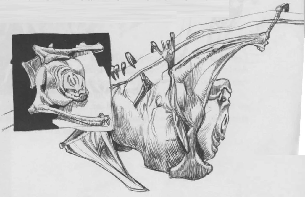 Bat | The Dig Wiki | Fandom