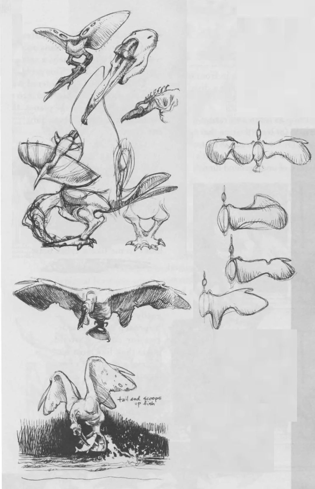 Seabird | The Dig Wiki | Fandom