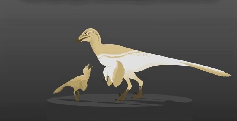 Troodontid | TheDinosauriaSeries Wiki | Fandom
